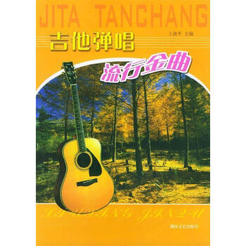 吉他弹唱 流行金曲 王迪平