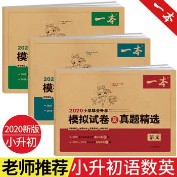 3册   小学毕业升学模拟试卷及真题精选  语文