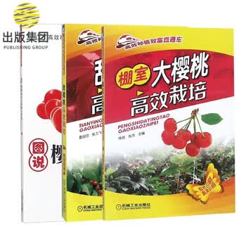 樱桃套装 共3册