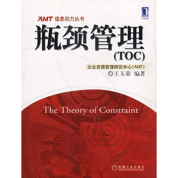 AMT信息动力丛书瓶颈管理 王玉荣 编著