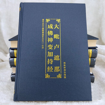 注音版硬皮精装 简体拼音 大毗卢遮那成佛神变加持经 大日经佛教经书结缘 大毗卢遮那成佛神变加持经
