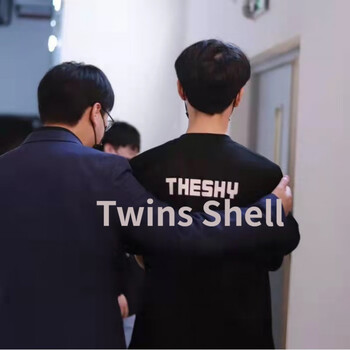 2022年LPLWBG队服theshyT恤冰丝速干圆领半袖男夏季短袖Twins Shell wbg队服TheShy款 M 95~105斤左右【图片 价格 品牌 报价】-京东