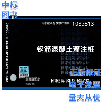 钢筋混凝土灌注桩10SG813