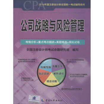 公司战略与风险管理