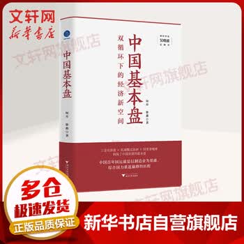 中国基本盘 双循环下的经济新空间 吴晓波总顾问倾力推荐 图书