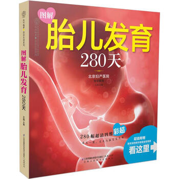 图解胎儿发育280天