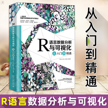 正版 R语言数据分析与可视化从入门到精通 R语言学习教材教程 R语言数据分析与可视化 编程语言与程序