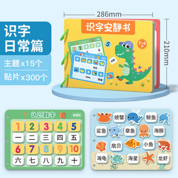 幼儿园识字安静书儿童启蒙早教认知认字卡片小儿宝宝益智玩具神器 日常篇15个主题（300张贴片/300字）