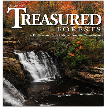 【单期可选】Alabama's Treasured Forests 阿拉巴马珍贵森林 2020年春夏 2020年秋季刊