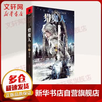 猎魔人 卷6 雨燕之塔