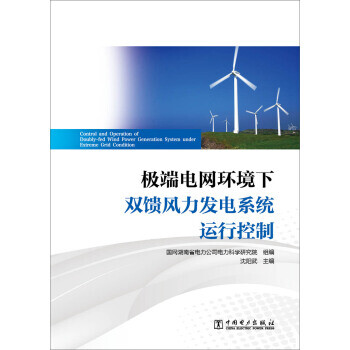 电网环境下双馈风力发电系统运行控制