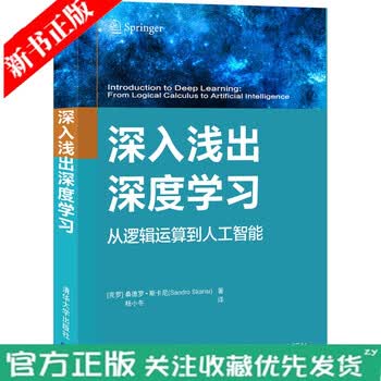 深入浅出深度学习 杨小冬卷积网络 LSTM word2vec RBM DBN神经图灵机记忆网络书