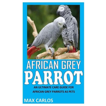 African Grey Parrot: An Ultimate Care Guide ...