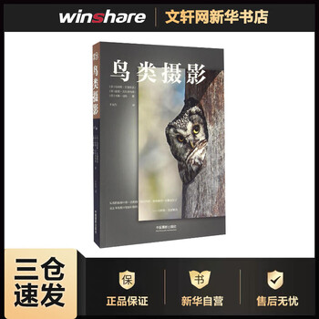 鸟类摄影