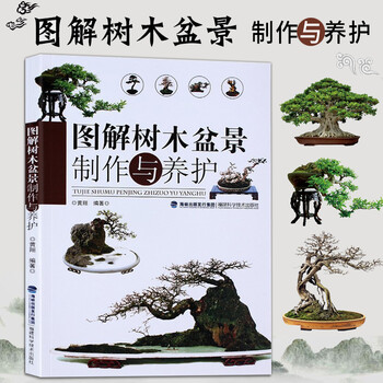 正版 图解树木盆景制作与养护 盆景书籍养花图书大全树木盆景造型设计书栽培技术入门教程中小型花卉盆景制