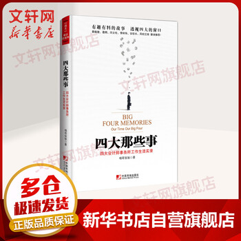 四大那些事儿 四大会计师事务所生活工作实录