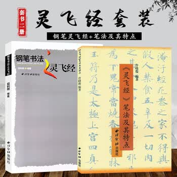 钢笔书法灵飞经套书全2册 笔画部首结构章法技法图解中小学生成人临摹书法练字帖硬笔楷书入门教程教材 钢笔速成基础训练教材书籍