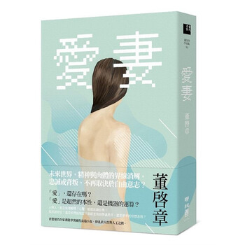爱妻 港台原版 董启章 联经出版 文学 现代文学 华文创作 文学小说 爱妻 背叛