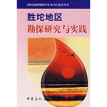 胜坨地区勘探研究与实践