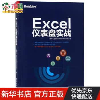Excel仪表盘实战