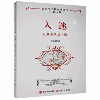 入迷:乱花渐欲迷人眼 9787514319640 心理学书籍