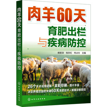 肉羊60天育肥出栏与疾病防控 图书