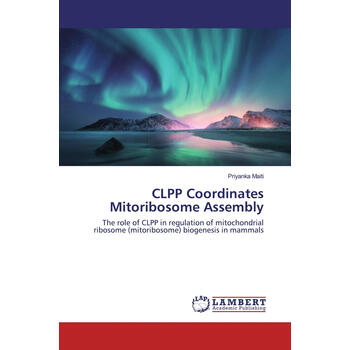 CLPP Coordinates Mitoribosome Assembly