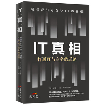 IT真相：打通IT与商务的通路