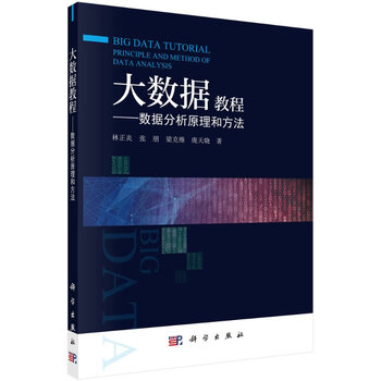 大数据教程：数据分析原理和方法/林正炎等