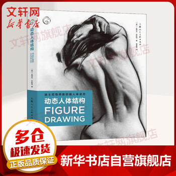 动态人体结构 迪士尼导师教你画人体姿态