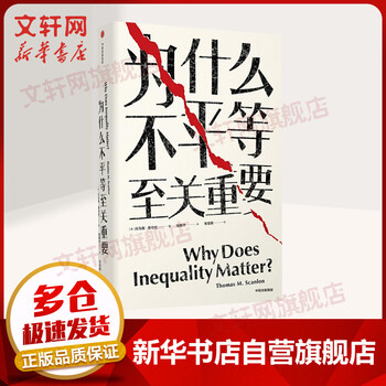 见识丛书31·为什么不平等至关重要