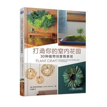 打造你的室内花园-30种植物创意微景观