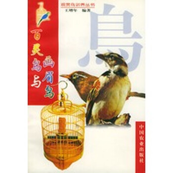 百灵鸟与画眉鸟