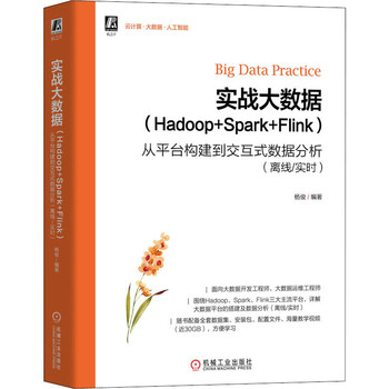 实战大数据(Hadoop+Spark+Flink) 从平台构建到交互式数据分析( 图书