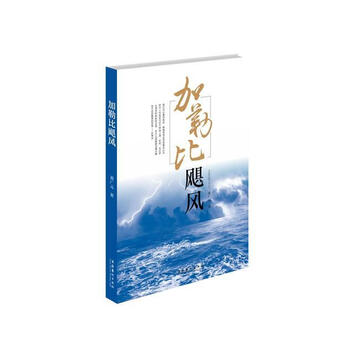 加勒比飓风 刘广元 文化艺术出版社