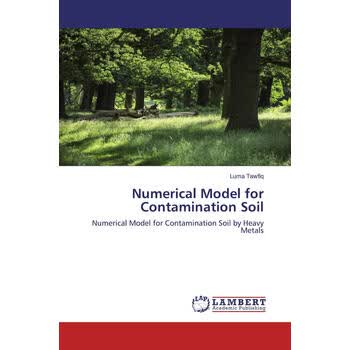 Numerical Model for Contamination Soil