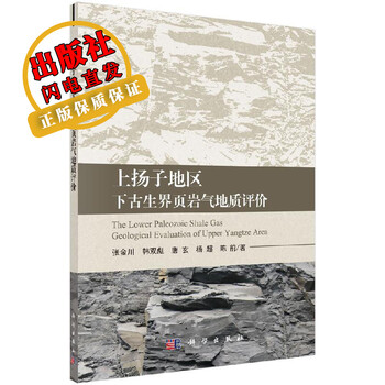 上扬子地区下古生界页岩气地质评价