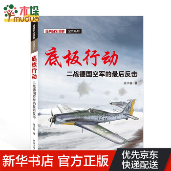 底板行动(二战德国空军的最后反击)/经典战史回眸空战系列