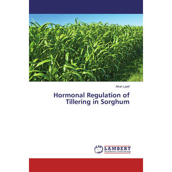 Hormonal Regulation of Tillering in Sorghum