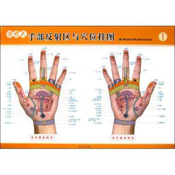 便携式手部反射区与穴位挂图(共4张)【正版图书，售后无忧】