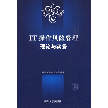 IT操作风险管理理论与实务