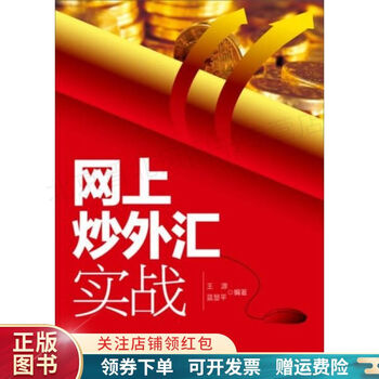 网上炒外汇实战 王源