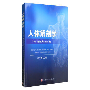 人体解剖学