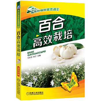 百合高效栽培
