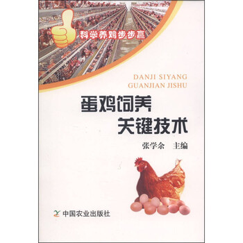 蛋鸡饲养关键技术