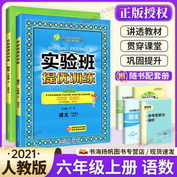 小学实验班提优训练六年级练习册 上册 语文数学2本 人教版