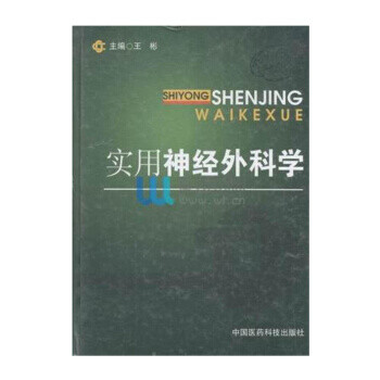 实用神经外科学