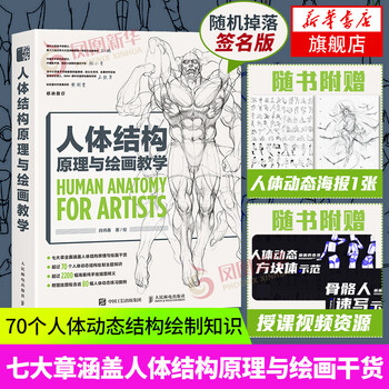 人体结构原理与绘画  画画的春哥伯里曼人物漫画教程书 画画入门自学零基础系列自选 临摹画册插画教程 人体结构原理与绘画教学+设计是门好生意218.9