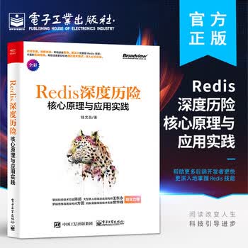 正版包邮 Redis深度历险 核心原理与应用实践 钱文品 著 Redis教程书籍 深入理
