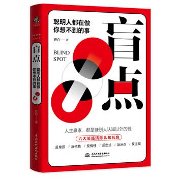 盲点(聪明人都在做你想不到的事)